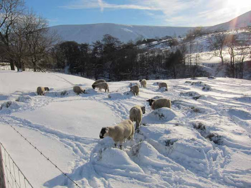 Winter in Edale - Robin Wood