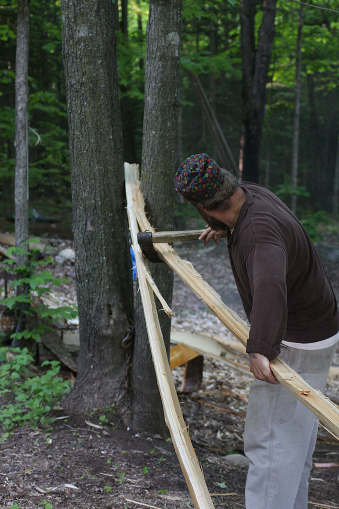 Birch bark canoe build part 3 collecting and working cedar - Robin Wood