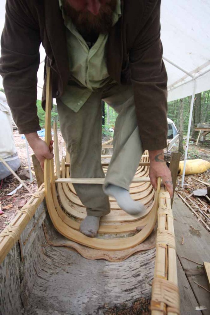 Birch Bark Canoe build the final chapter - Robin Wood
